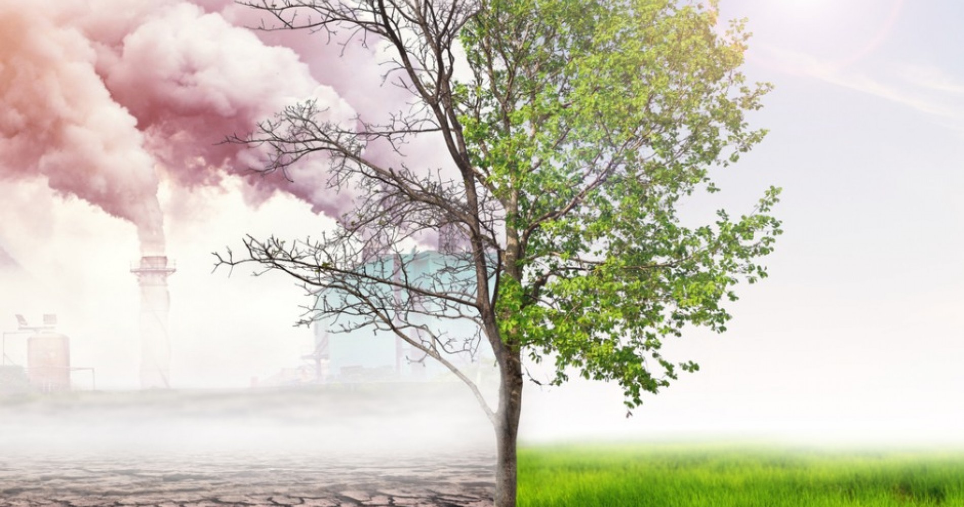 Accelerating NZ's transition to a sustainable future | Energy NZ